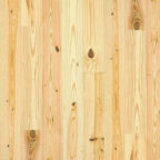 What is Knotty Pine? | Definition of Knotty Pine